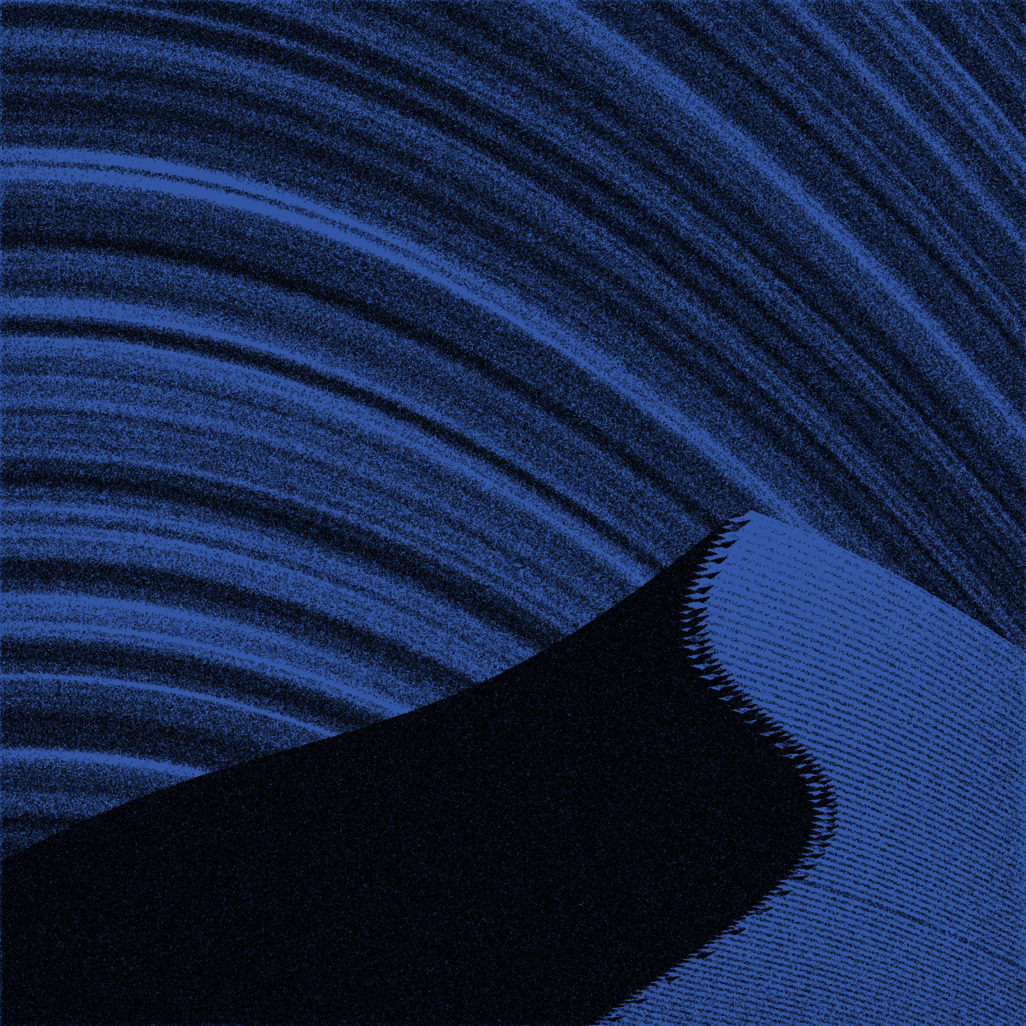 CODE-BLOSSOM #2 — HolgerLippmann — fxhash