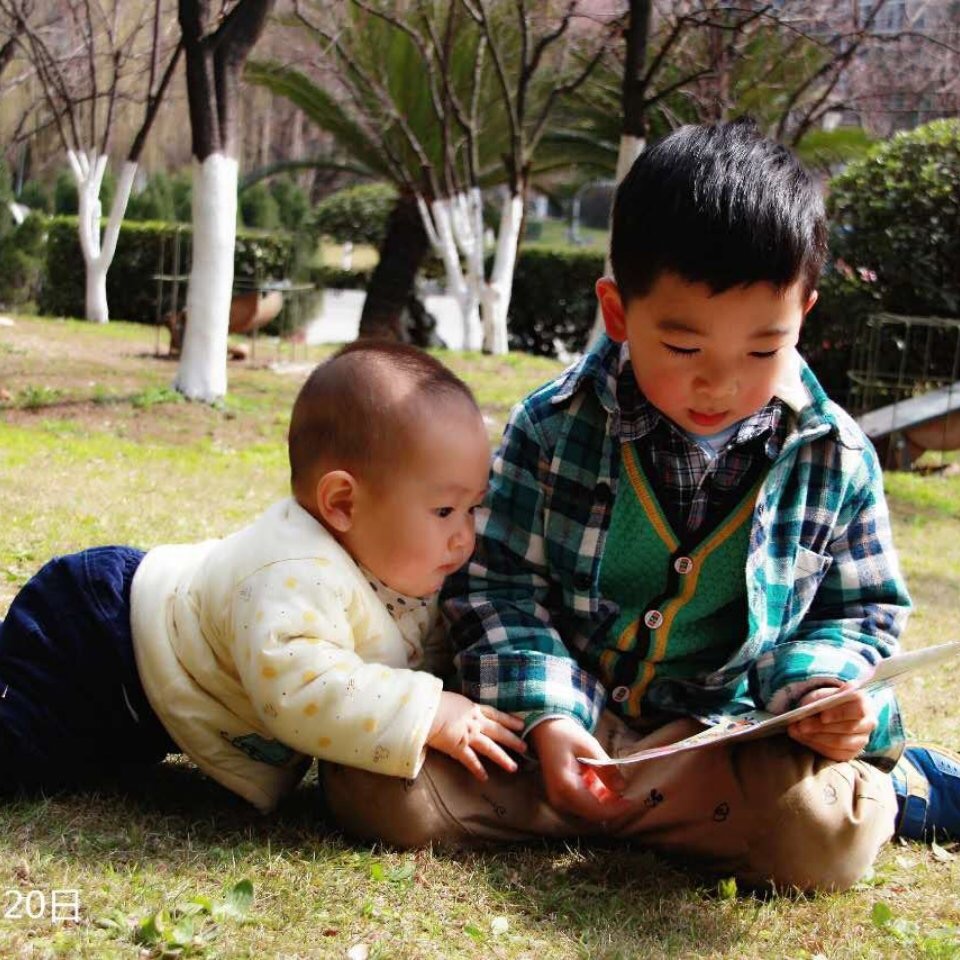 zhangyang profile — fxhash