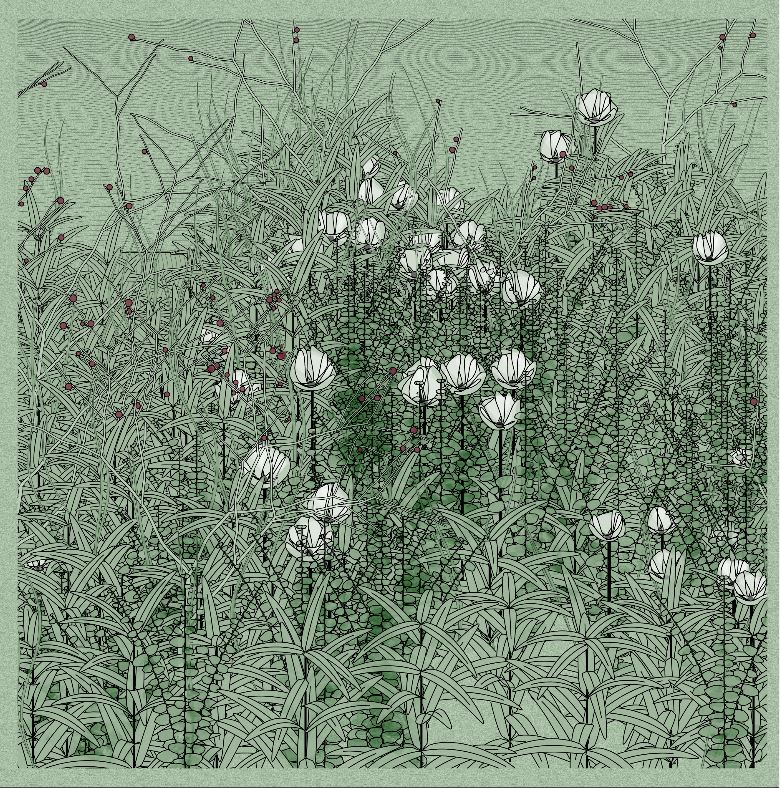 jhtown profile — fxhash